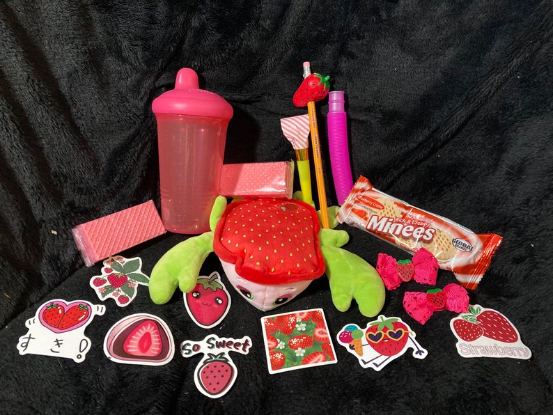 Strawberry Little Space Bundle Agere Kit - Etsy