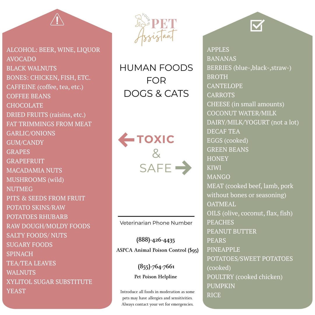 Toxic & Safe Human Foods Magnet for Dogs and Cats | Pet Safety Kitchen ...