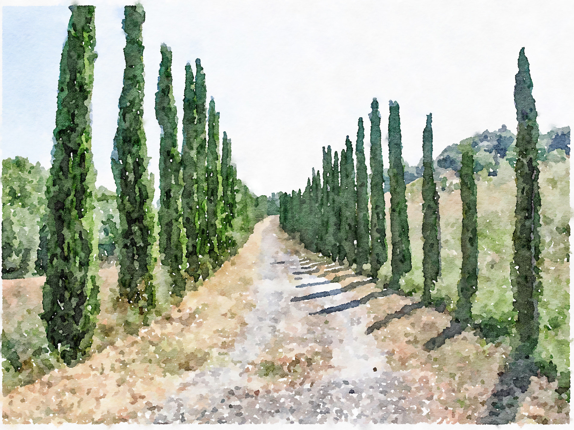 Tuscany Cypress Tree Watercolor Print Italy Tuscany Travel - Etsy