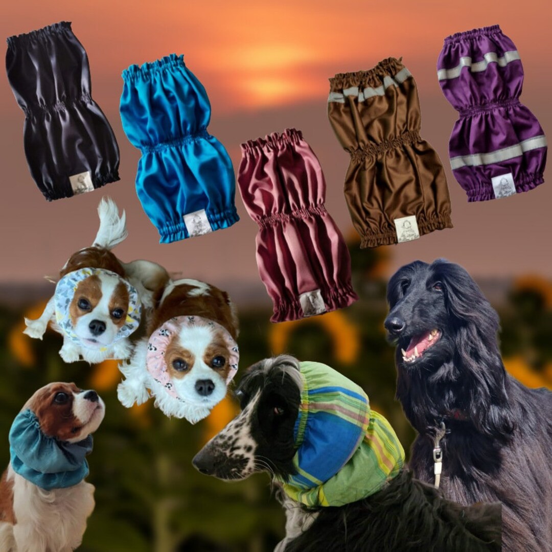 Dog Snood, Cotton Pet Snood, Cavalier Snood, Snoods for Dogs, Afghan ...
