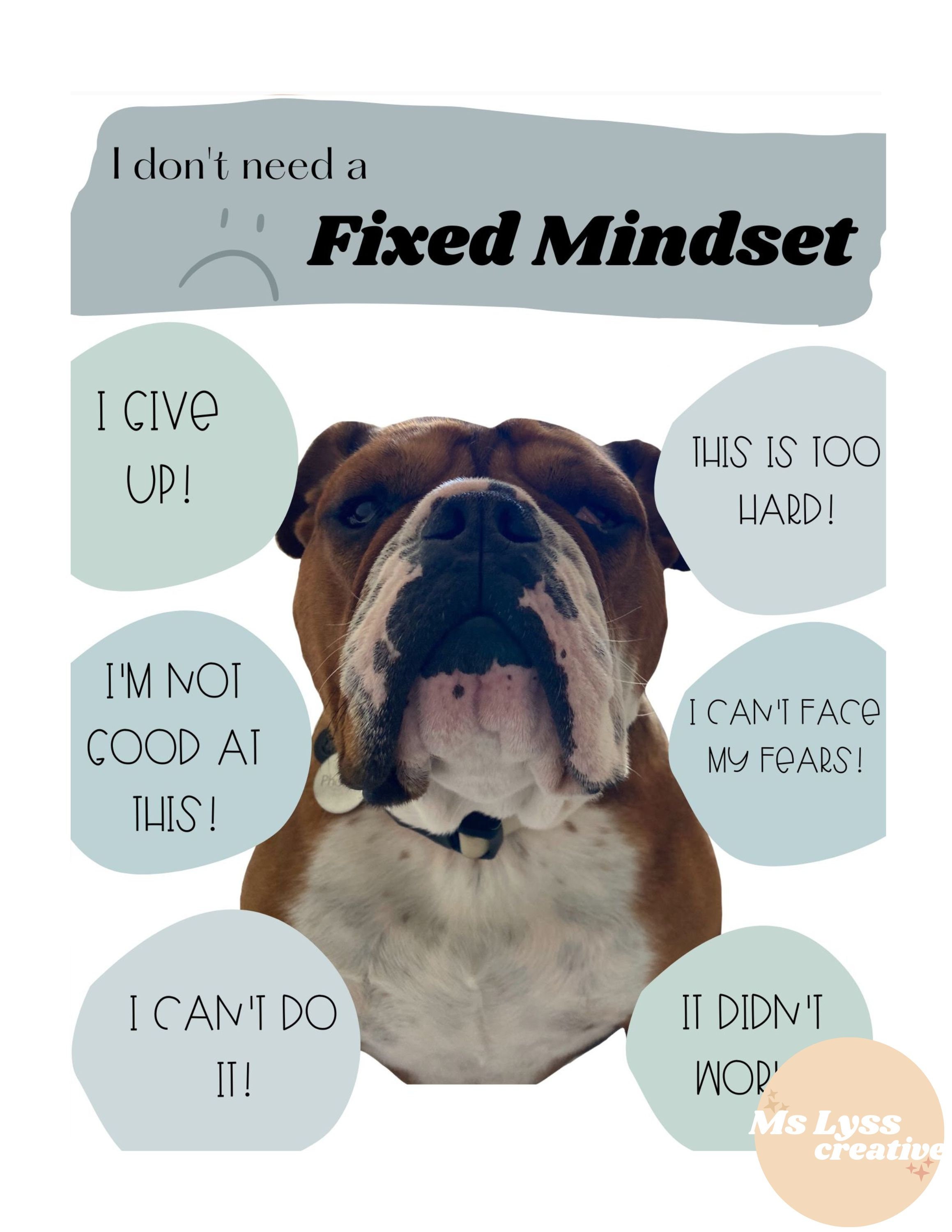 Growth Vs Fixed Mindset Posters, Neutral Classroom Posters, Mindset ...