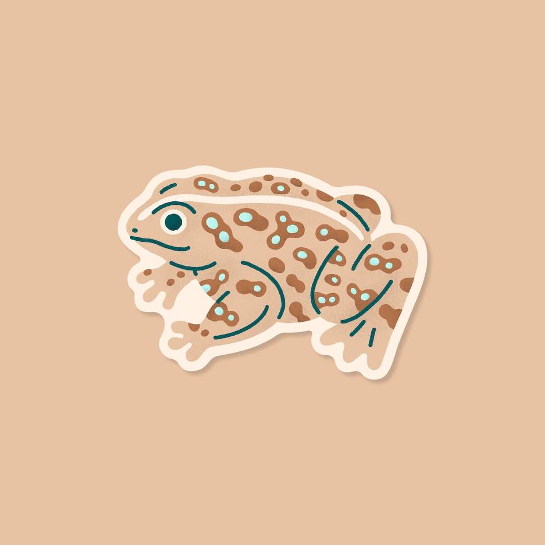 Boreal Toad Sticker - Etsy