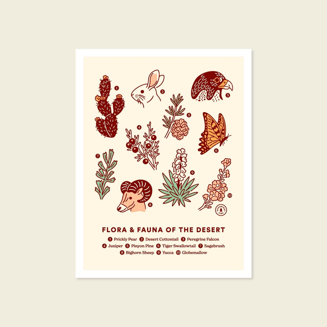 Desert Flora & Fauna Chart — Print - Etsy