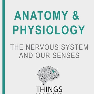 Anatomy and Physiology: the Nervous System and Our Senses epub PDF ...