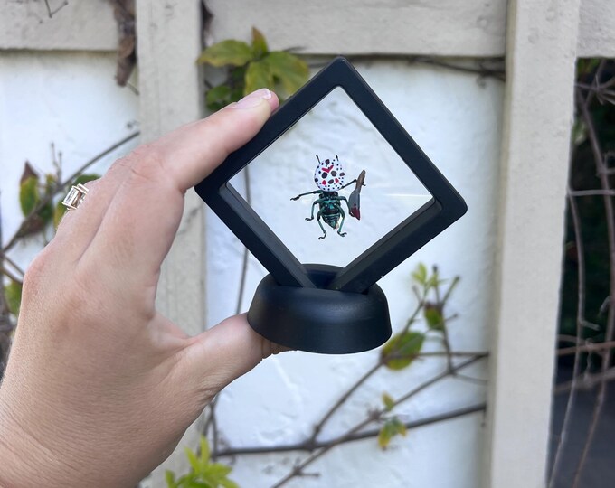 Mini Spooky Bug Frame, Jason Voorhees Beetle, Horror and Halloween ...