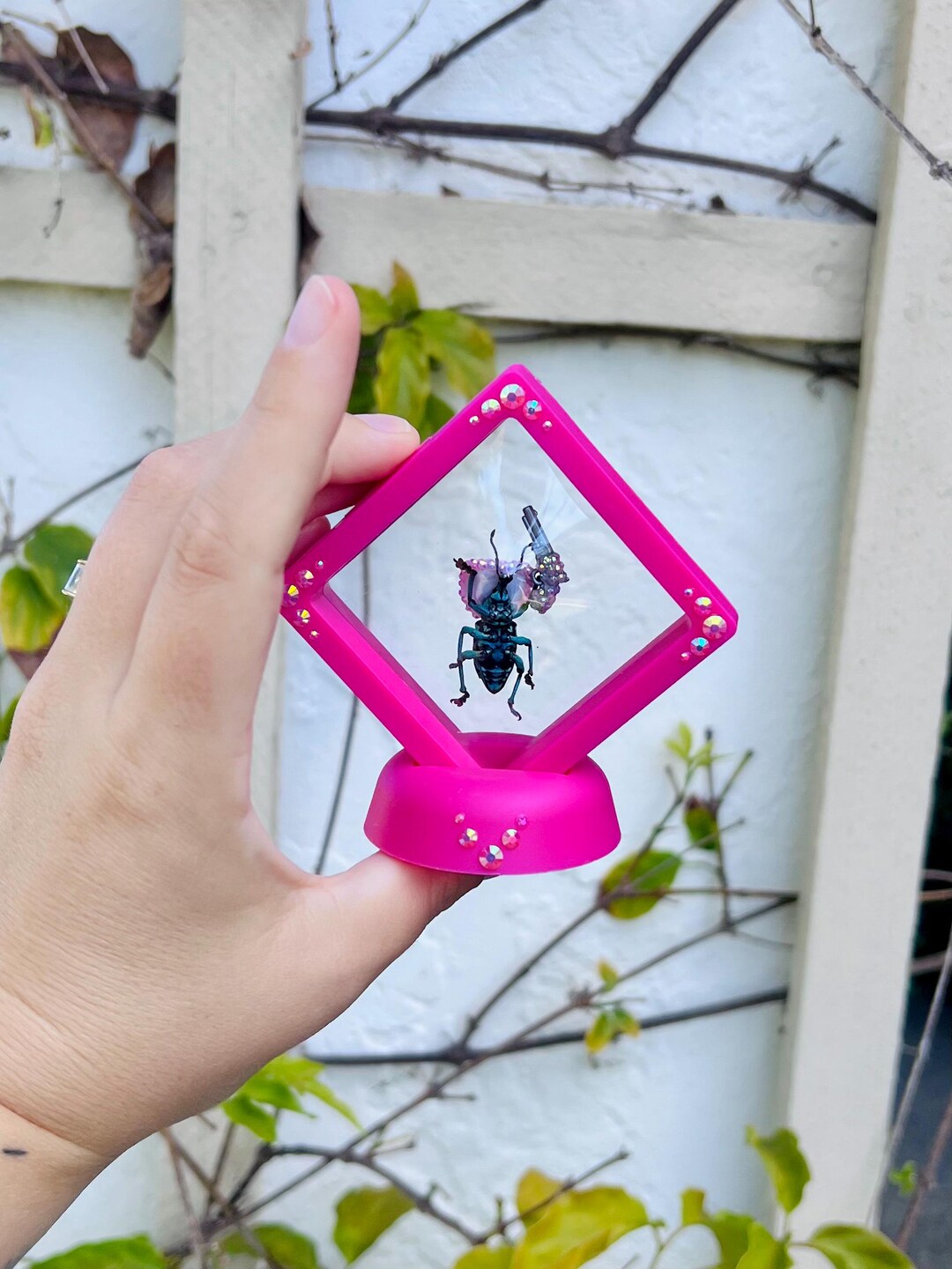 Mini Chappell Roan Weevil Beetle Frame, Chappell Roan Art, Rhinestone ...