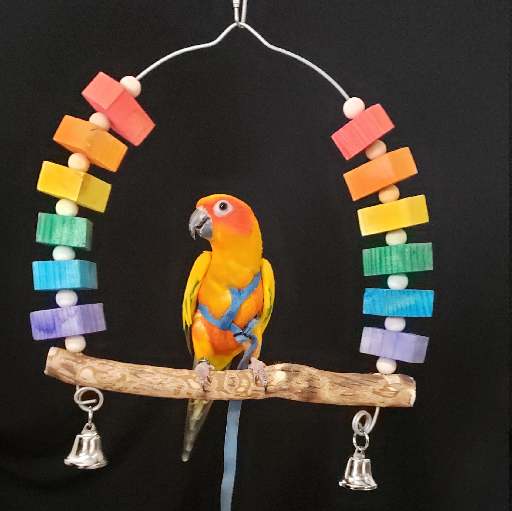 Bird Swings - Etsy