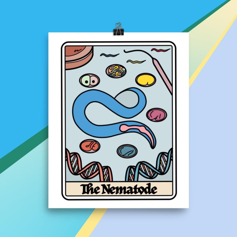 Science Poster - Etsy