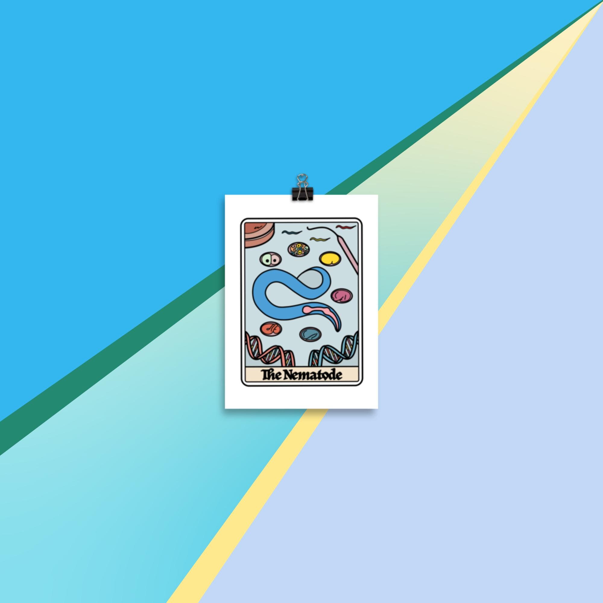 C. Elegans Model Organism Print | Nematode Poster | Caenorhabditis ...