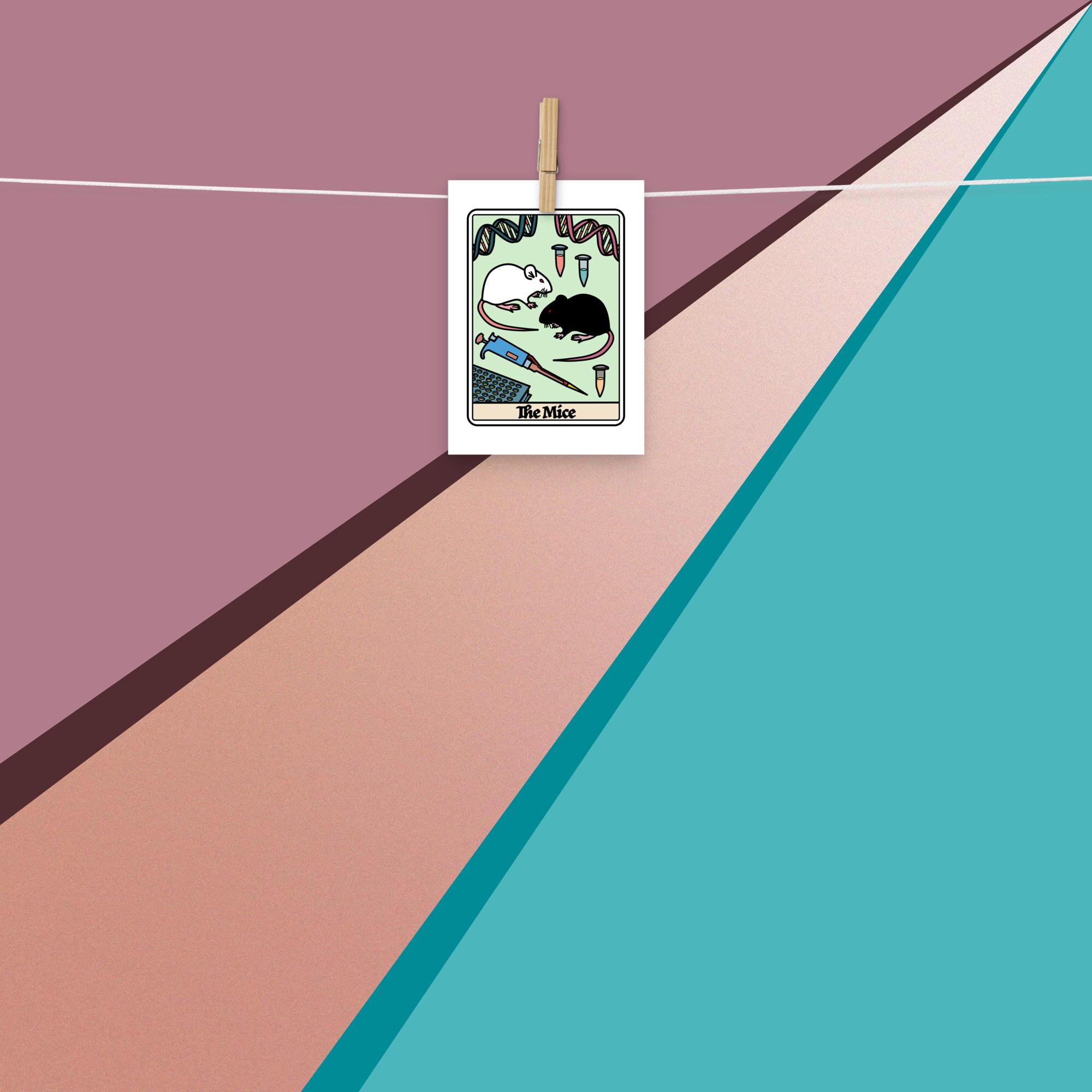 Mice Model Organism Print | Mus Musculus | Biologist Poster | Lab ...