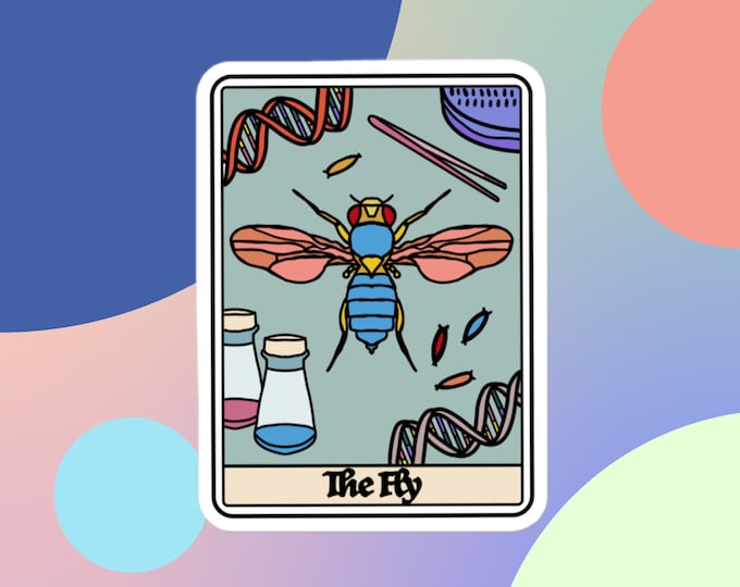 Drosophila Melanogaster Sticker | Fruit Fly Sticker | Lab Model ...