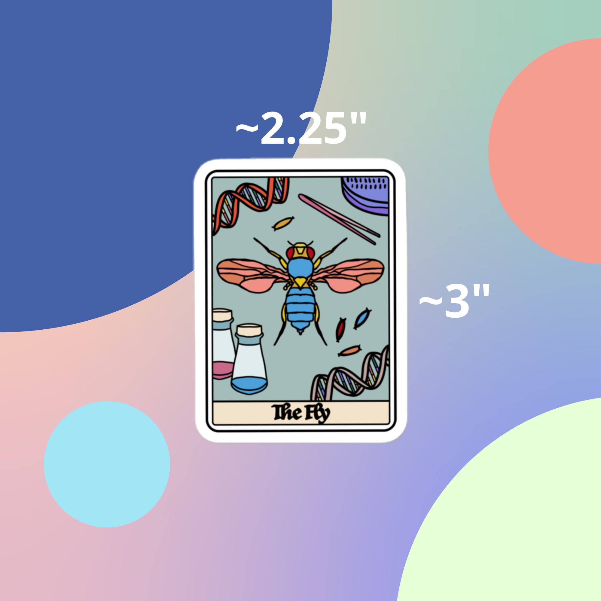 Drosophila Melanogaster Sticker Fruit Fly Sticker Lab Model Organism ...