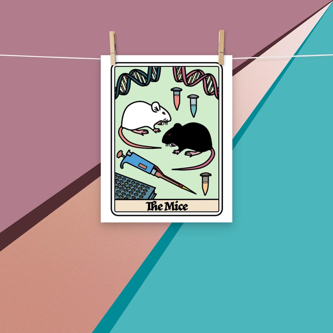 Mice Model Organism Print | Mus Musculus | Biologist Poster | Lab ...