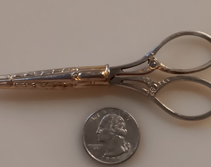 Well Loved and Unique Vintage Embroidery Scissors With Gold Tone Sheath ...