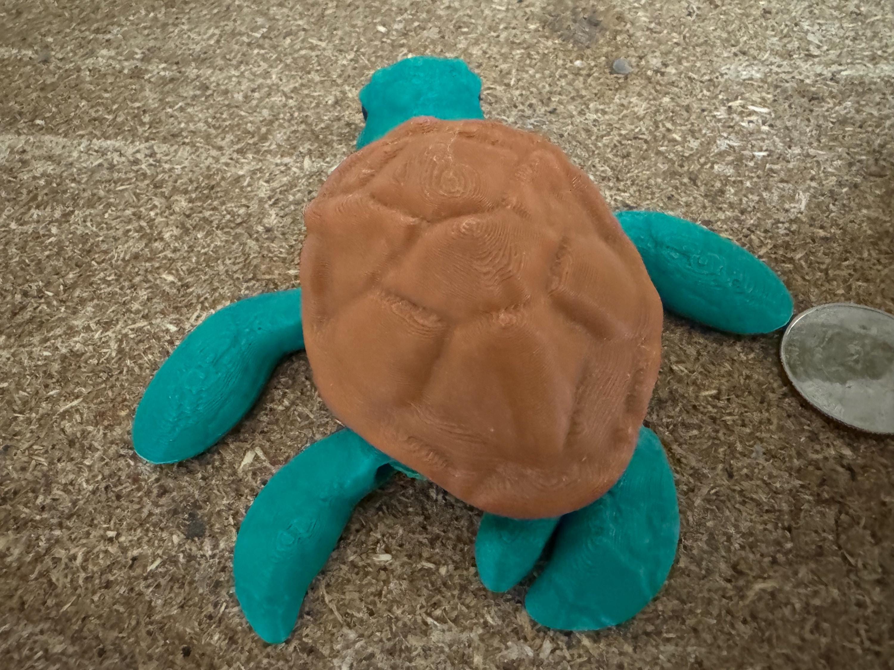 3d Printed Sea Turtle - Etsy