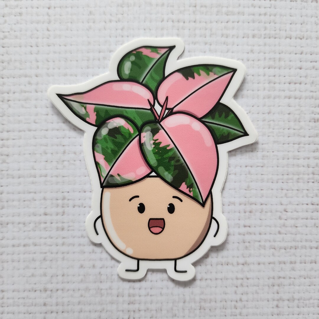 Pink Princess Vinyl Sticker - Etsy