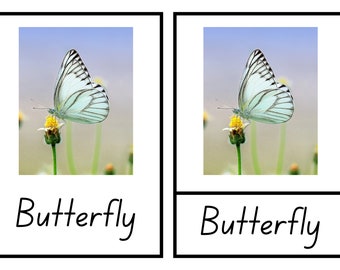 Montessori Butterfly Life Cycle Cards - Etsy