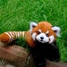 Skeleton Red Panda Ver.2 Making Kit, DIY Gift, - Etsy