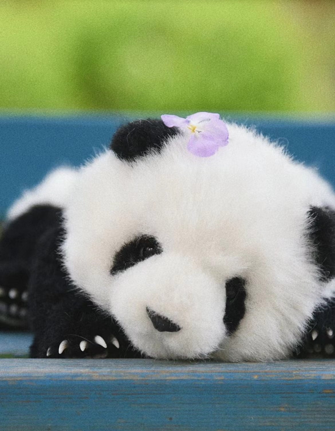 Handmade Panda Doll, Plush Toy, Cute Animal Plush, Unique Gift, Soft ...