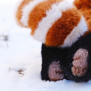 Red Panda Making Kit, DIY Gift, - Etsy