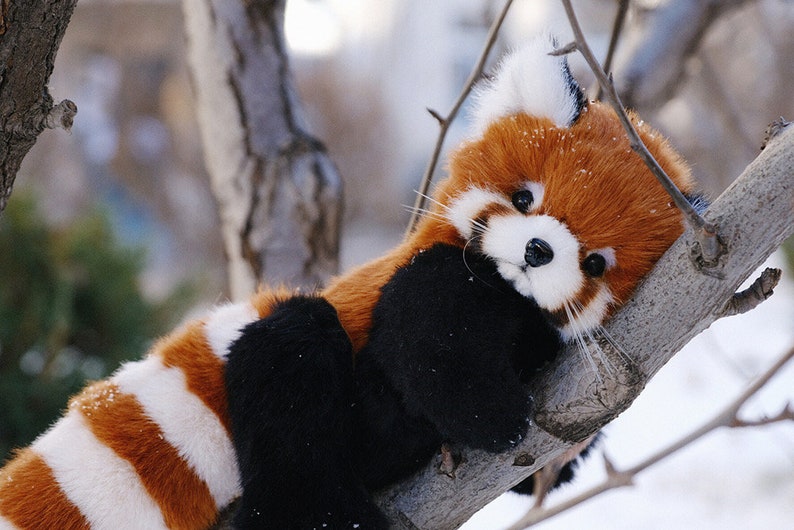 Handmade Red Panda Art Doll: Poseable Gift Toy - Etsy