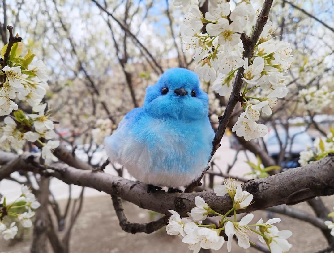 Handmade Poseable Bird Plush, Custom Color Mini Bird Sculpture - Etsy