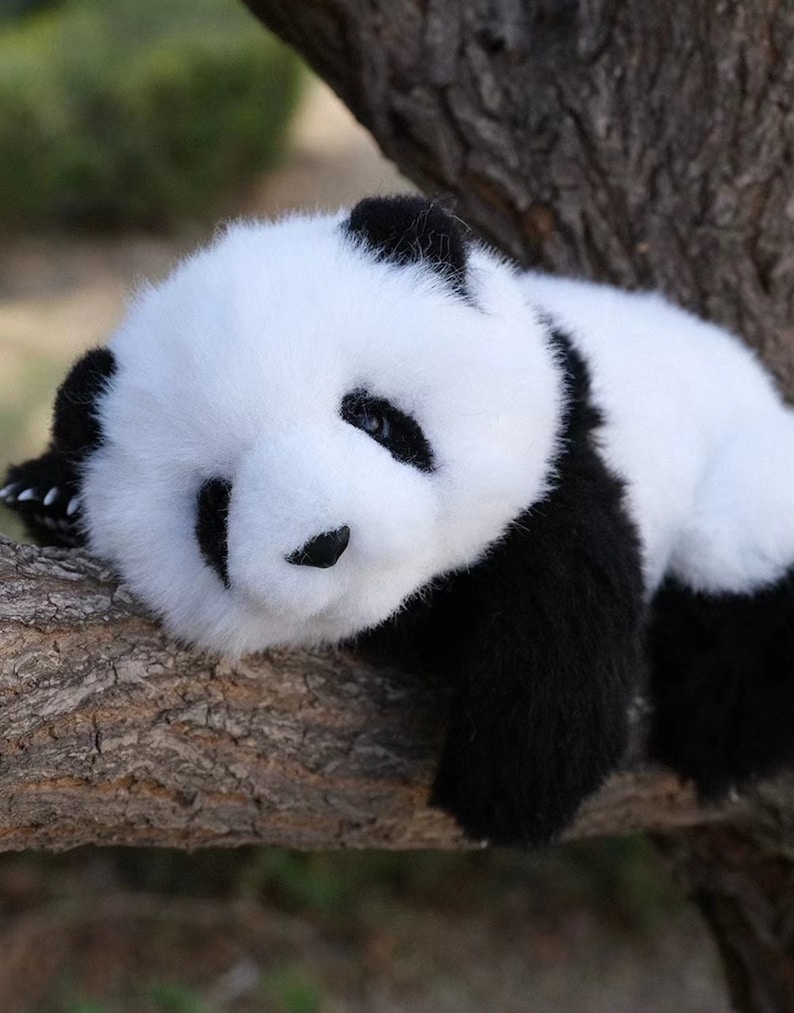 Handmade Panda Plush Toy: Poseable Collectible Doll - Etsy