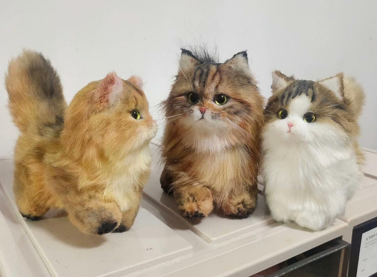 Custom Cat Plush: Turn Your Beloved Cat Into a Cuddly Keepsake - Etsy
