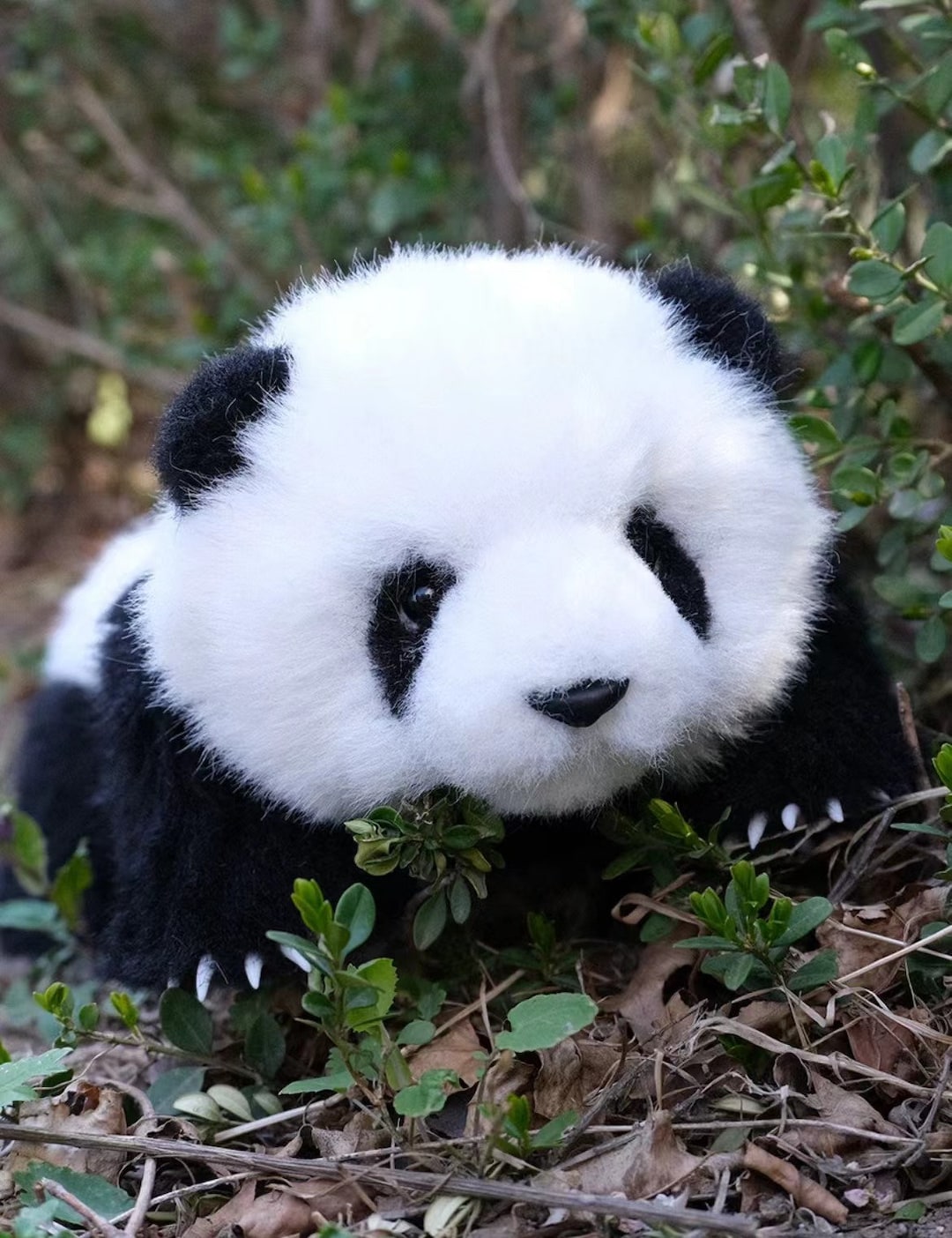 Handmade Panda Doll, Plush Toy, Cute Animal Plush, Unique Gift, Soft ...