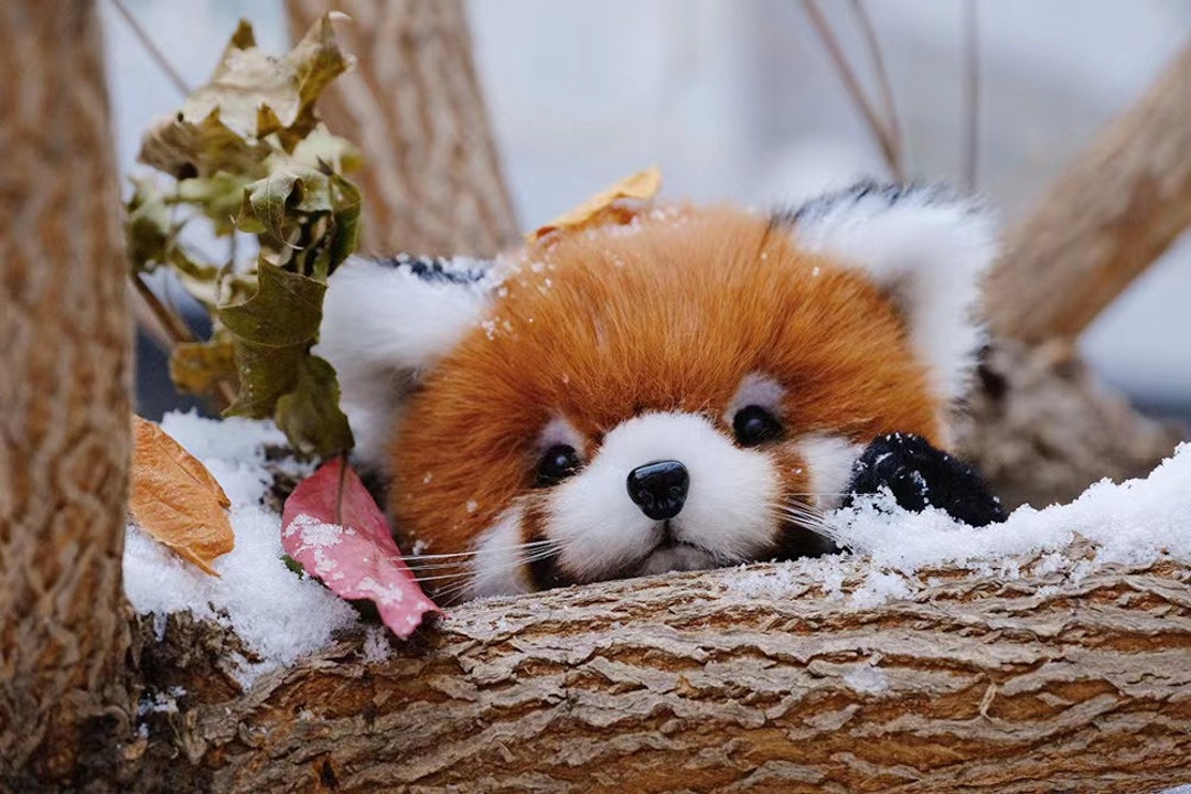 Handmade Red Panda Art Doll: Poseable Gift Toy - Etsy