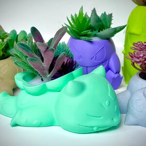 Pokémon / Planter Pots Succulents Plants, Squirtle, Eevee, Bulbasaur ...