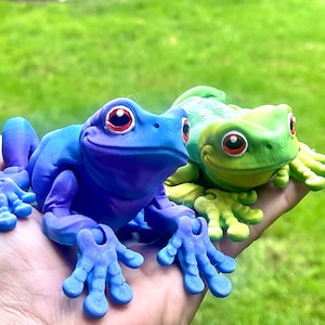 Cute Frog Fidget Toy Articulated Flexi Frog Toy Eyes Hand Painted 3d ...