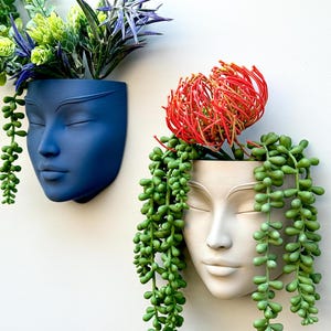 3D Printed Head Planter: Modern Woman Face Wall Vase - Etsy