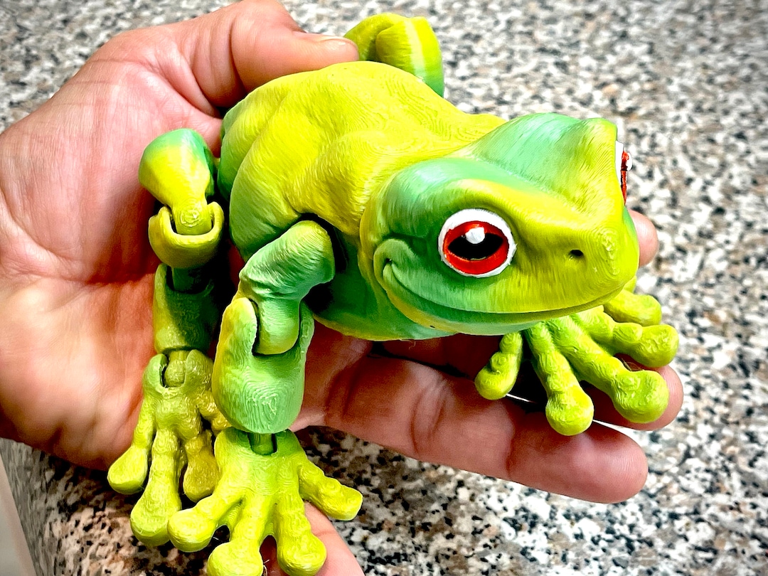 Cute Frog Fidget Toy Articulated Flexi Frog Toy Eyes Hand Painted 3d ...