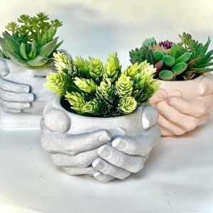 Hands Plant Pot Hands Holding Bowl With Drainage Hole Key Holder Fruit ...