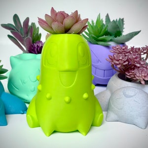 Pokémon / Planter Pots Succulents Plants, Squirtle, Eevee, Bulbasaur ...