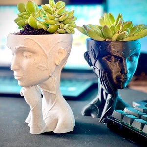 Woman Head Planter: Metallic 3D Printed Indoor Plant Pot - Etsy