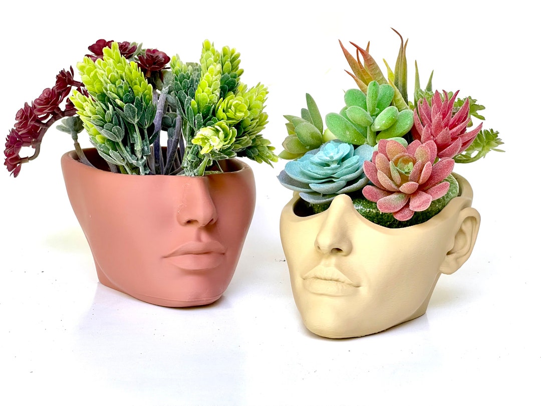Face Planters, Face Pot, Head Planters, Plant Pot, Unique Planter ...