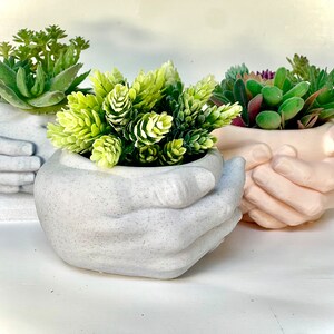 Hands Plant Pot Hands Holding Bowl With Drainage Hole Key Holder Fruit ...
