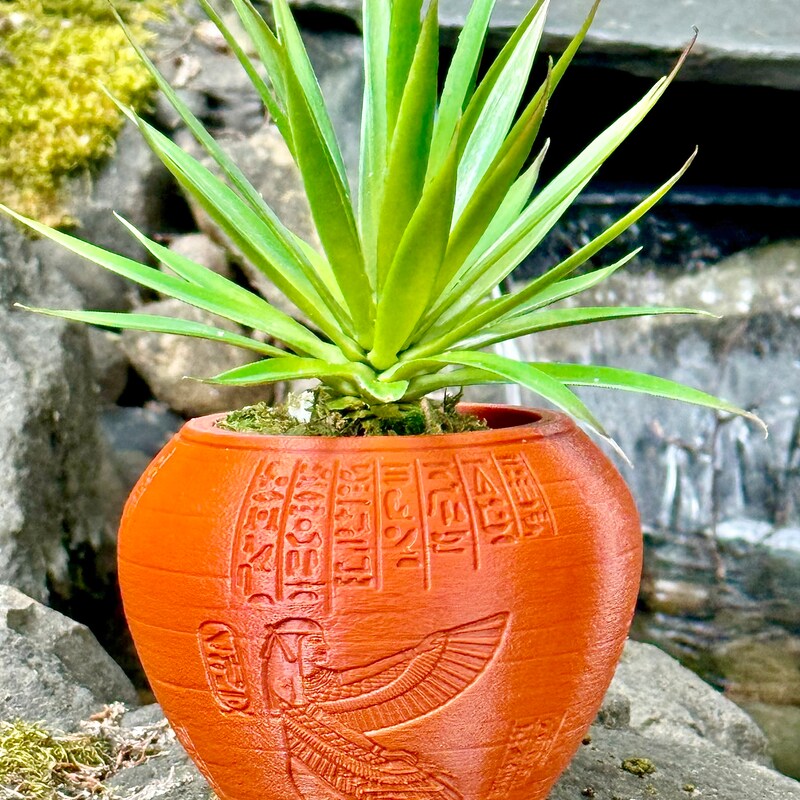African Planter - Etsy