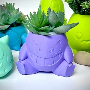 Pokémon / Planter Pots Succulents Plants, Squirtle, Eevee, Bulbasaur ...