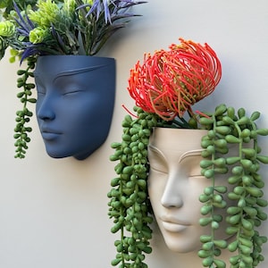 3D Printed Head Planter: Modern Woman Face Wall Vase - Etsy Canada
