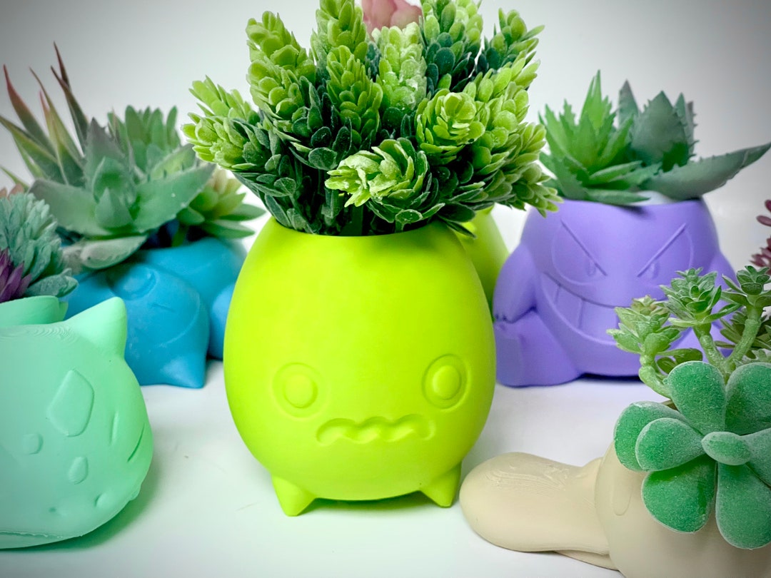 Pokémon / Planter Pots Succulents Plants, Squirtle, Eevee, Bulbasaur ...