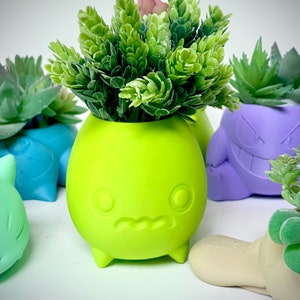 Pokémon / Planter Pots Succulents Plants, Squirtle, Eevee, Bulbasaur ...