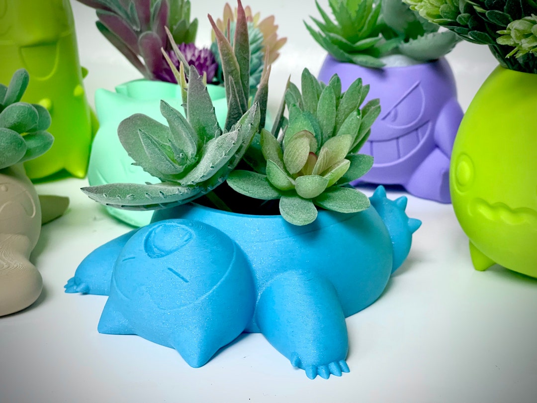 Pokémon / Planter Pots Succulents Plants, Squirtle, Eevee, Bulbasaur ...