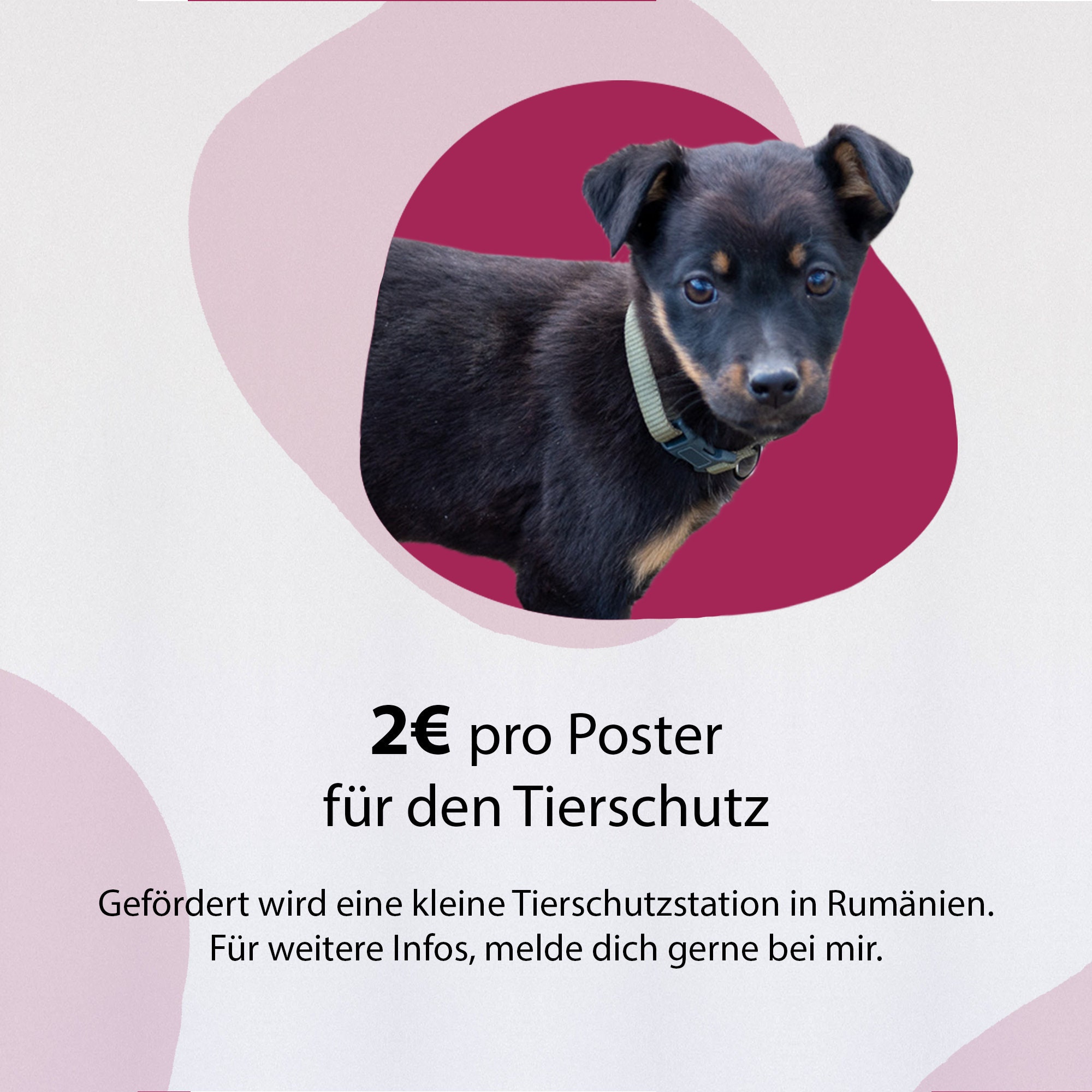 Poster Dog Paw Print Personalized to Print Quick Gift Reminder Paw ...