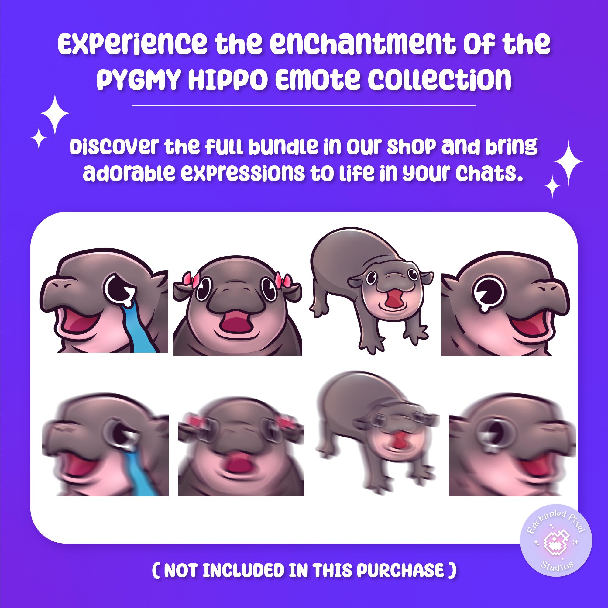 Cute Baby Pygmy Hippo Emote Pack | Cute Animal Gamer Emote Set | Meme ...