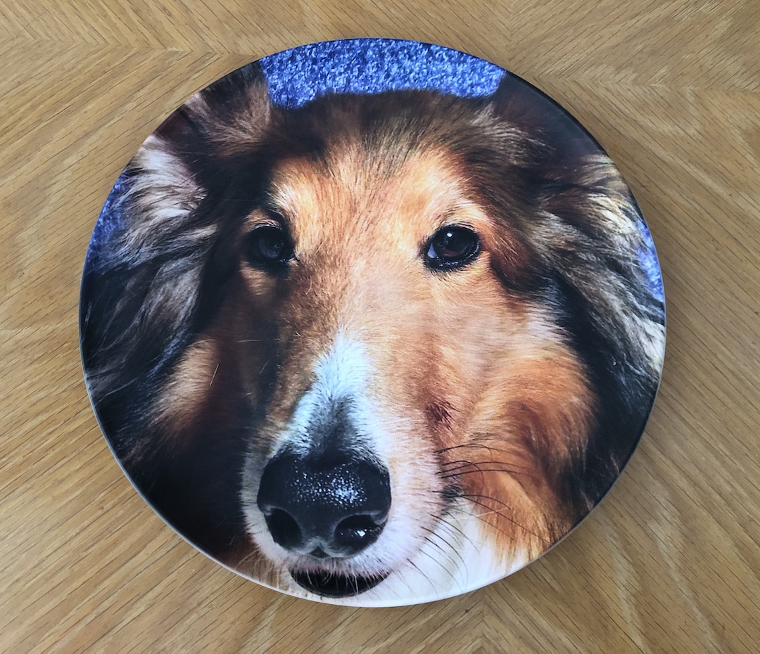 Custom Picture Pet Gift Plate for Dog Mom Dog Rescue Mom Dog Lover Dog ...