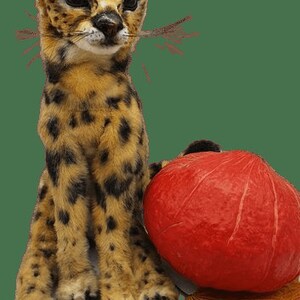 Serval Cat Sewing Pattern – Plush Toy PDF, Realistic Stuffed Animal ...