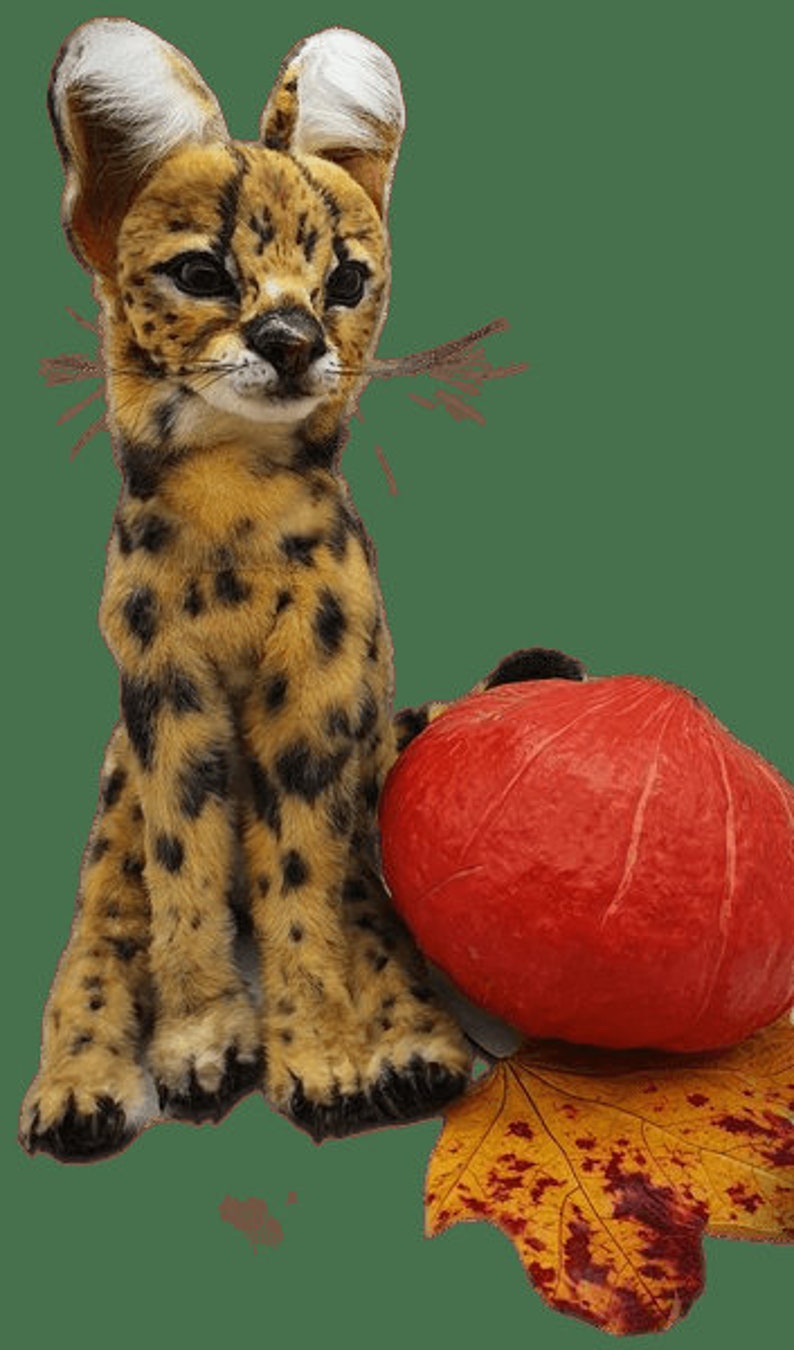 Serval Cat Sewing Pattern – Plush Toy PDF, Realistic Stuffed Animal ...